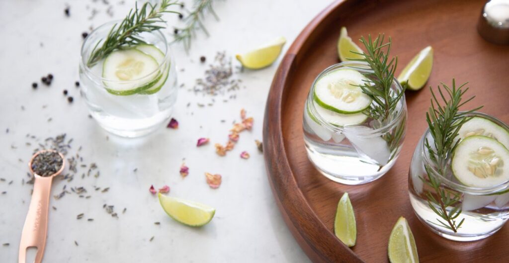 Velsmagnede drinksopskrifter med gin | Drinksguide